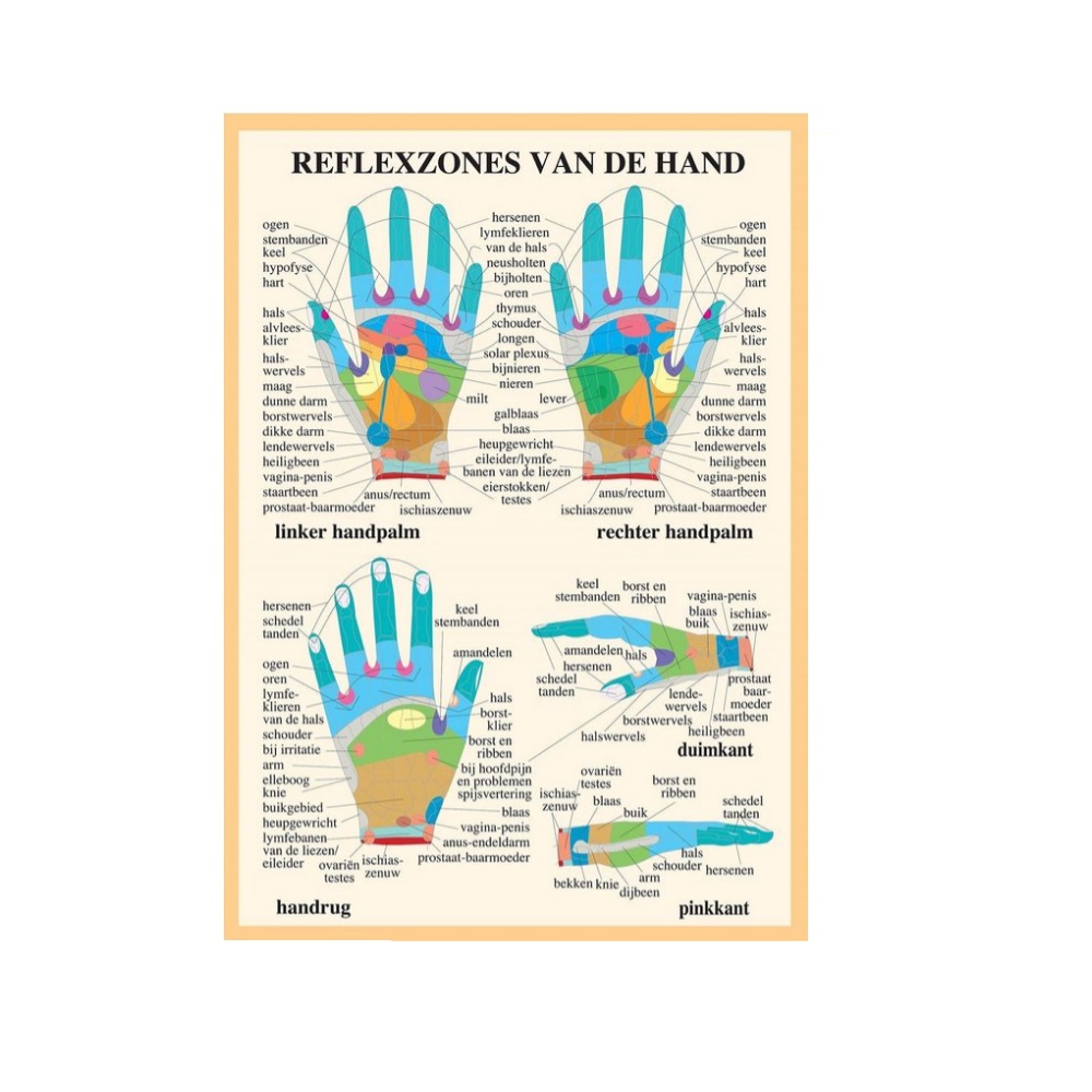 Poster reflex hand A2 geplast. - MSK Podiamed